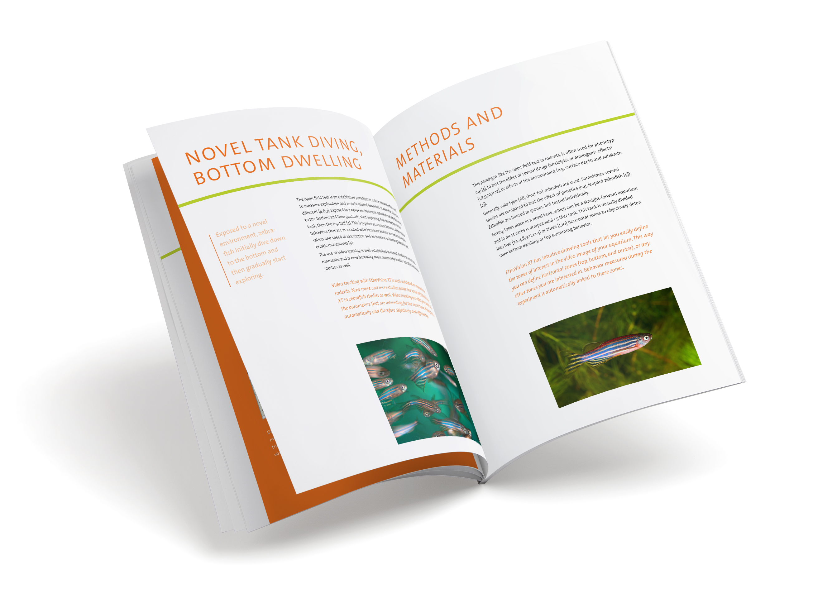 Free white paper on the novel tank diving test