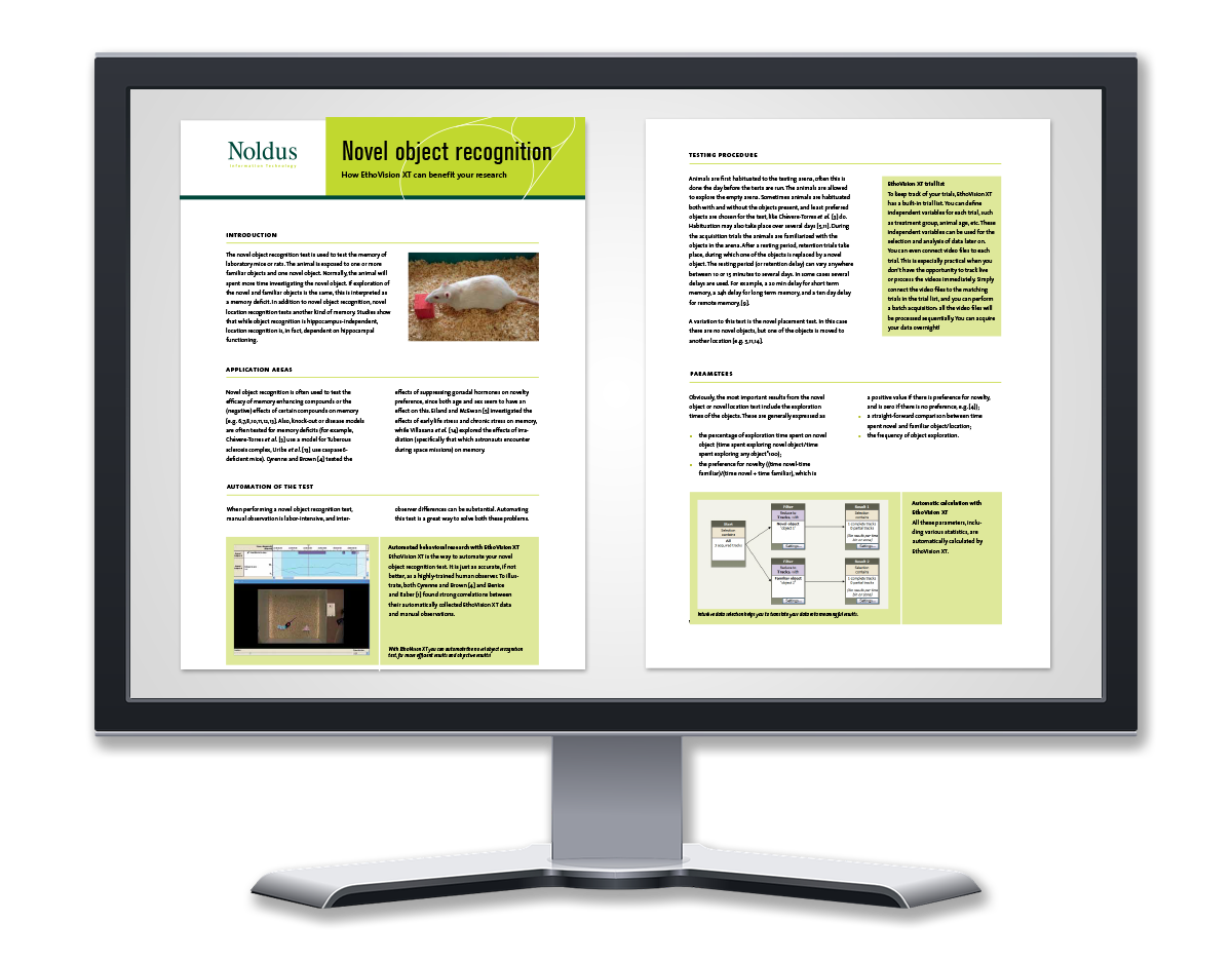 Novel Object Recognition